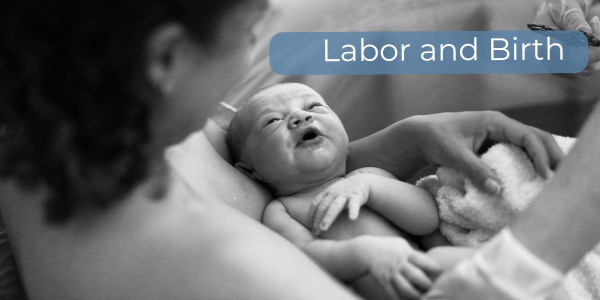 Blog – The Essential Midwife